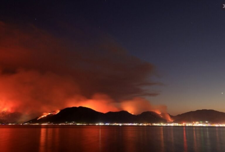Turkey's devastating fires in pictures and videos